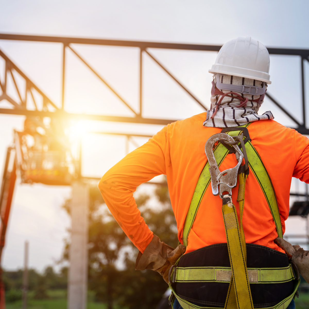 Safety Consulting - Examinetics